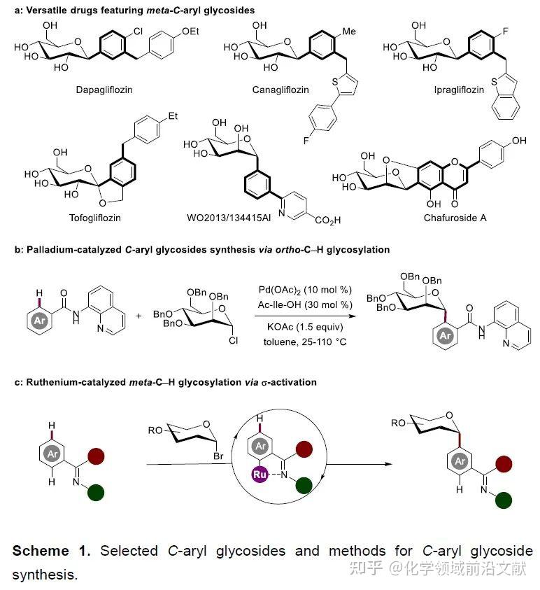 【Angew. Chem.】Ru(II)催化间位C-H糖基化反应：模块化合成间位C-Ar糖苷 - 知乎