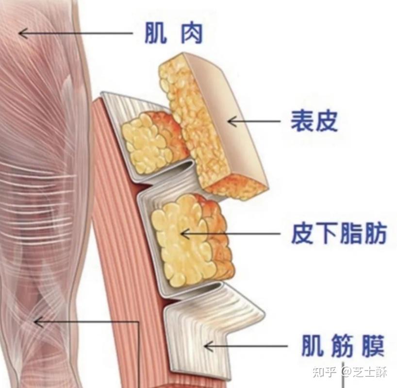 九款筋膜枪大测评，云麦、Hyperice HV BT、GXA N12、picooc/有品、倍益康、KEEP究竟哪个是最好用的筋膜枪呢？ - 知乎