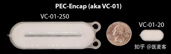 ViaCyte改进“现货”糖尿病新型疗法，皮下植入干细胞衍生胰岛细胞代替疗法有效避免宿主免疫排斥反应 - 知乎