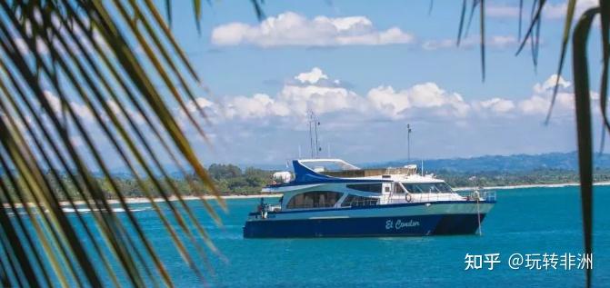 去马达加斯加观鲸，需要注意什么？ - 知乎