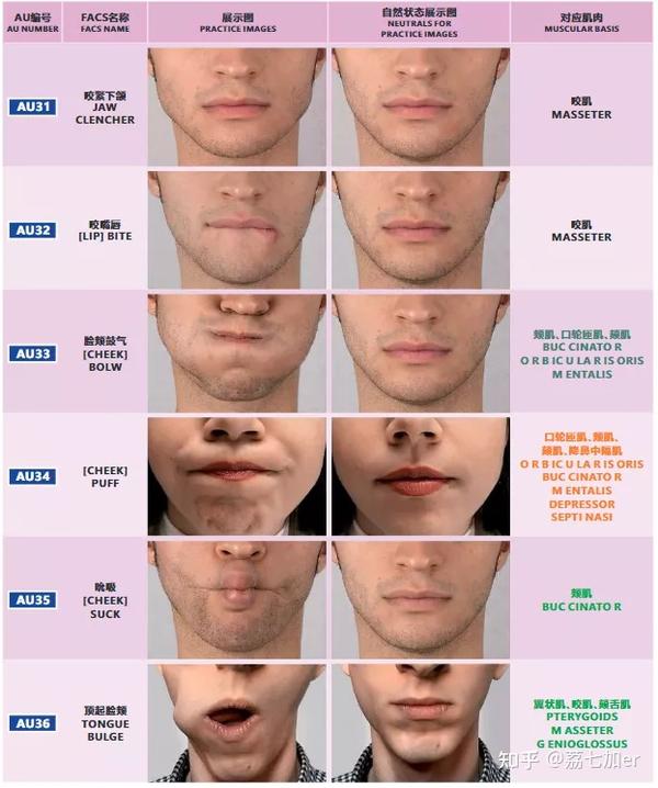 FACS-Facial Action Coding System 面部表情编码系统 各AU(Action Unit)说明 - 知乎