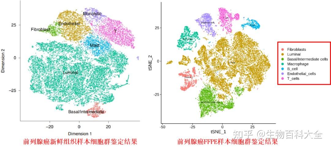 用证据说话——实测FFPE样本进行单细胞测序狠好使！ - 知乎