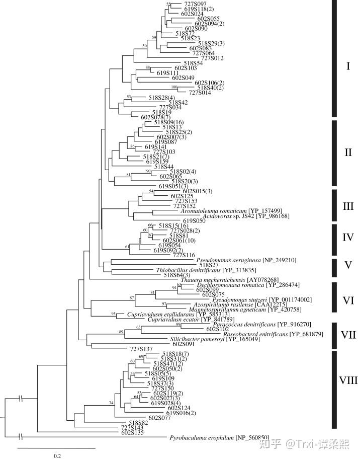 稻田土壤中nirS和nirK多样性和数量的时间变化 - 知乎