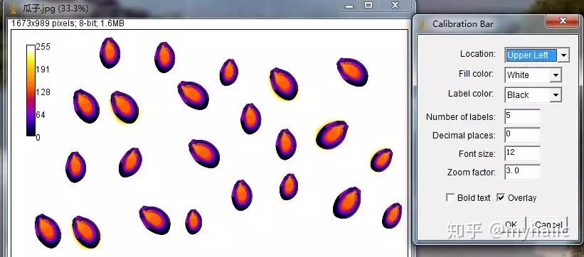 干货 | 一把西瓜子也能教会你 ImageJ 图片分析 - 知乎