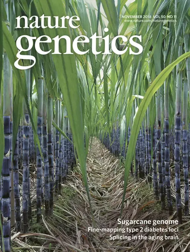 45张11月Nature子刊封面美出新高度，哪张最打动你？ - 知乎