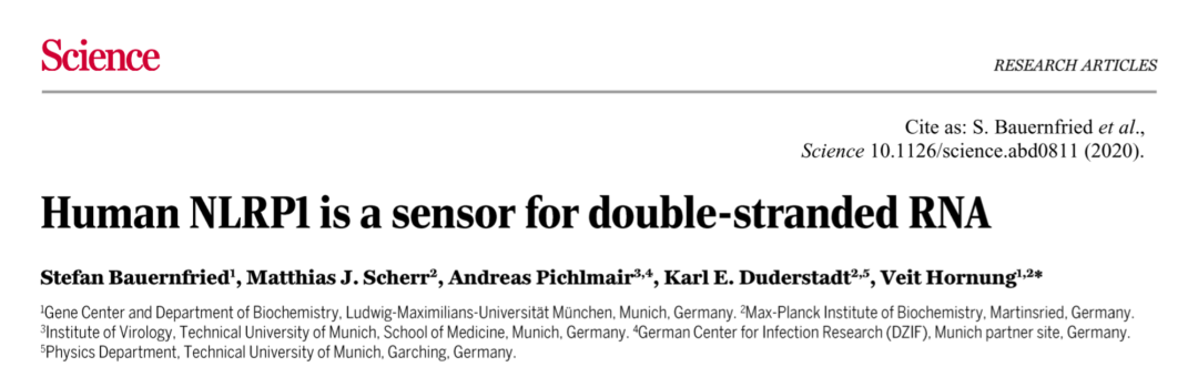 Science | 双链RNA的感受器NLRP1——人源NLRP1识别RNA病毒感染活化炎症小体 - 知乎