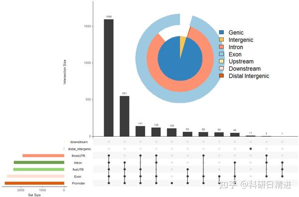用ChIPseeker对ChIP-seq数据进行可视化，图表直观颜值高！ - 知乎