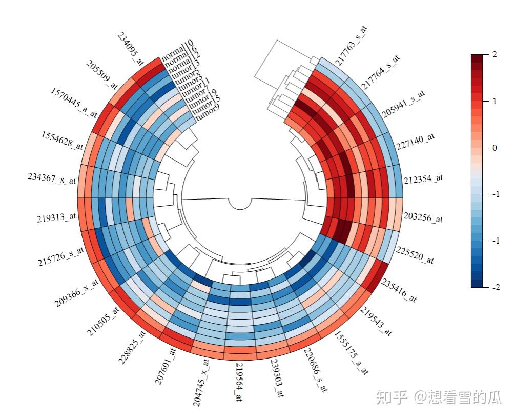 Origin将普通聚类热图美化成环形聚类热图 - 知乎