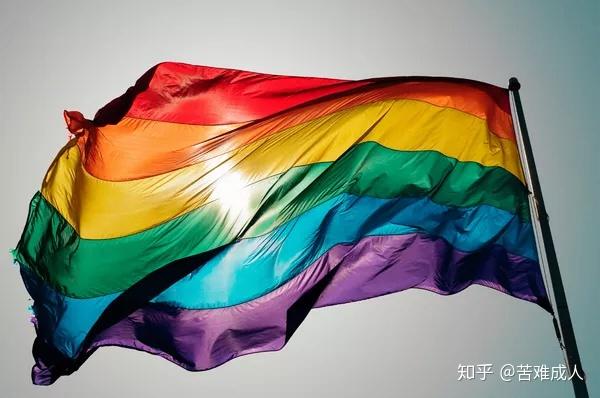 LGBTQ🏳️‍🌈活动安排与彩虹旗 - 知乎