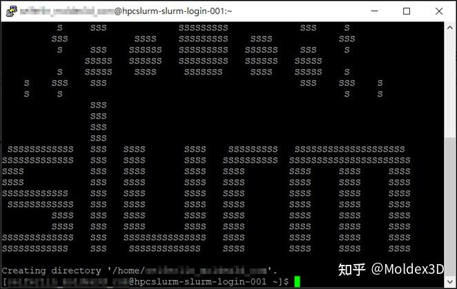 【Moldex3D 2025】高效能运算-云端计算-Linux-在 GCP 上的丛集部署-登入Slurm-login节点并配置Moldex3D - 知乎