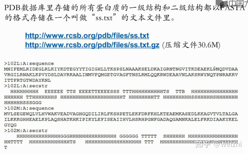山东大学生物信息学学习笔记7—蛋白质二级结构预测与分析以及三级结构介绍 - 知乎