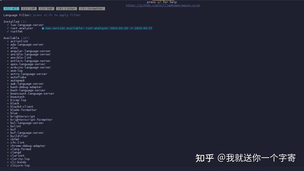 从零开始：使用Neovim搭建Rust开发IDE - 知乎