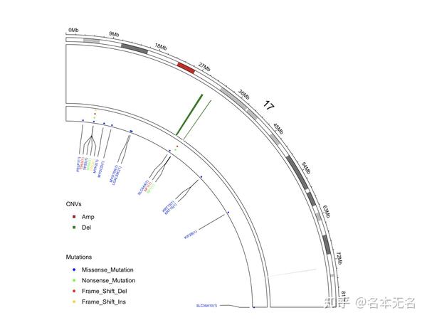 TCGA 数据分析实战 —— CNV 与突变 - 知乎