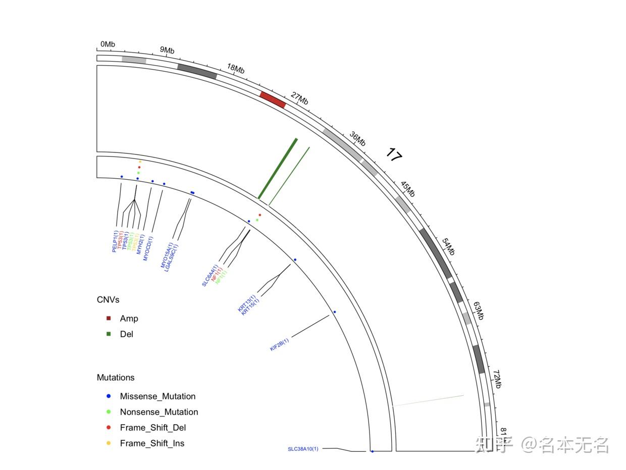 TCGA 数据分析实战 —— CNV 与突变 - 知乎