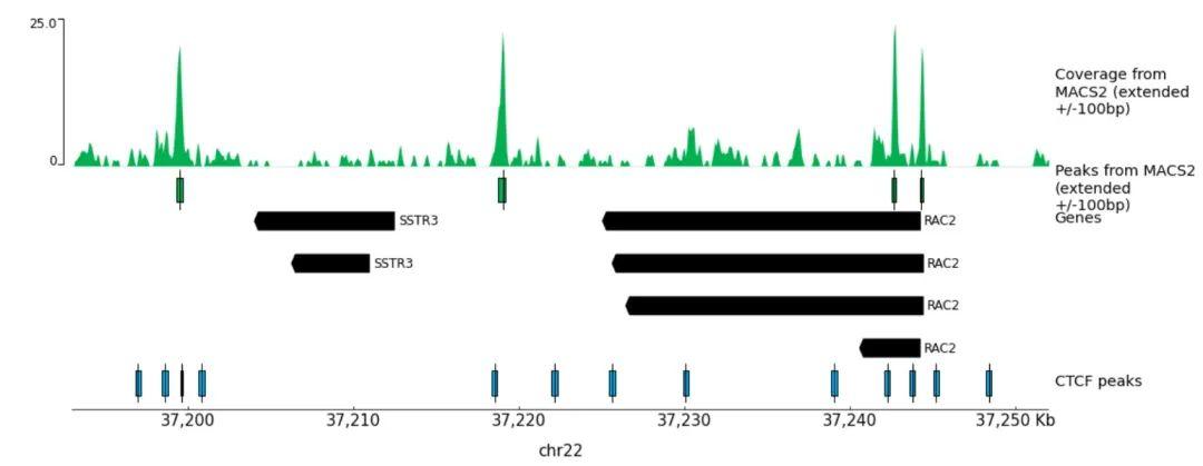 一文详解ATAC-seq原理+读图：表观遗传的秀儿 - 知乎