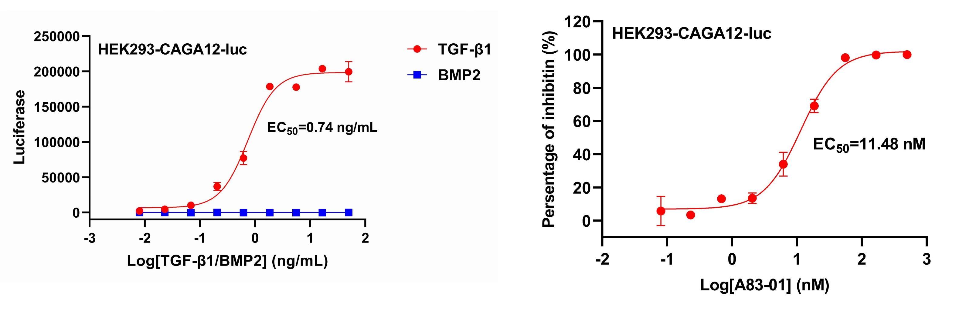 TGFβ通路报告基因检测 - 知乎
