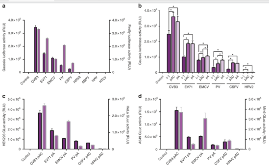 【耀文解读】环状RNA篇|深度解读构建circRNA稳定高效蛋白表达策略 - 知乎