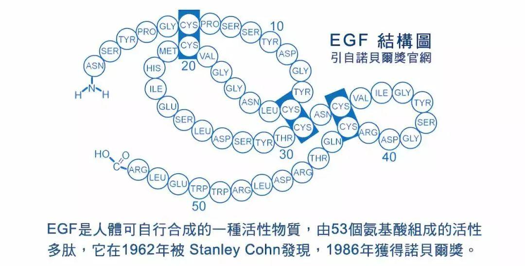 诺贝尔奖中蕴含的护肤秘诀（Ⅰ）（EGF、富勒烯、干细胞） - 知乎