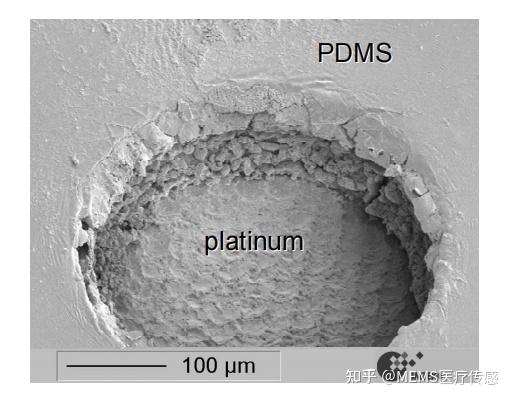 脑机接口之ECoG电极（一） - 知乎