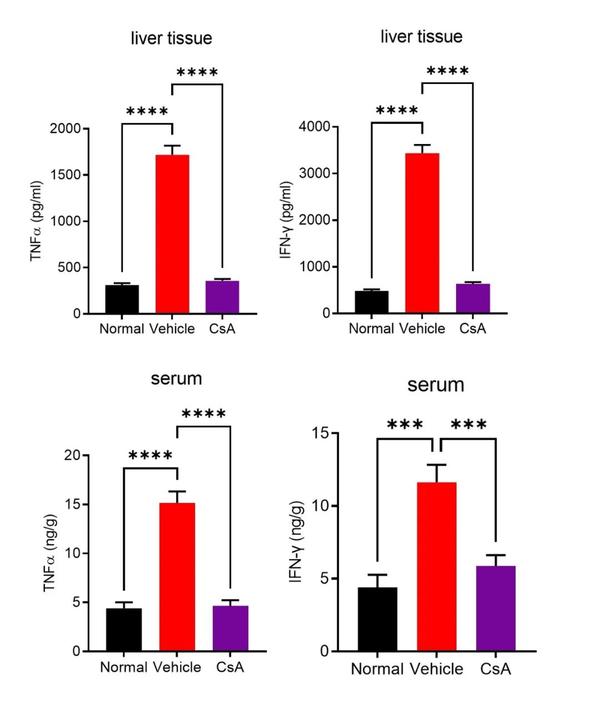 AACR精彩回顾 | AIH小鼠模型研究分享：阻断自噬改善 Con A 诱导的小鼠自身免疫性肝炎 - 知乎