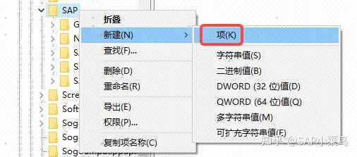 SAP GUI 760免密码登录快捷方式 - 知乎