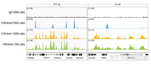 H3K4me1 Antibody—EpiCypher新品 - 知乎