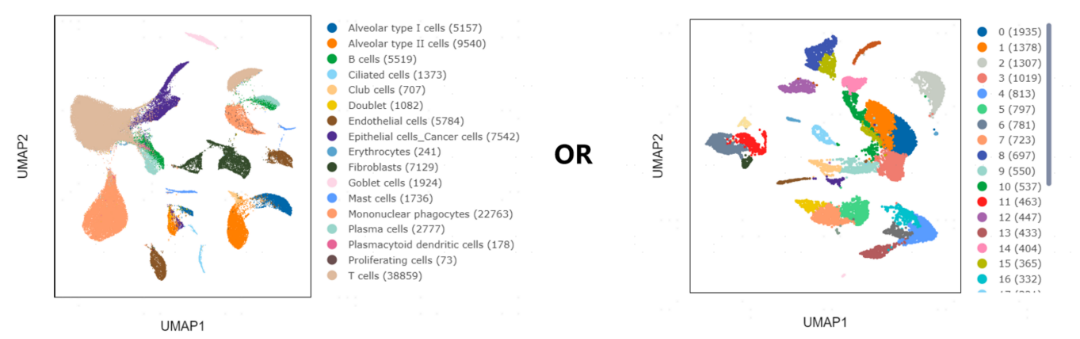 新格元SynEcoSys数据库升级，赋能单细胞临床研究和药物研发 - 知乎