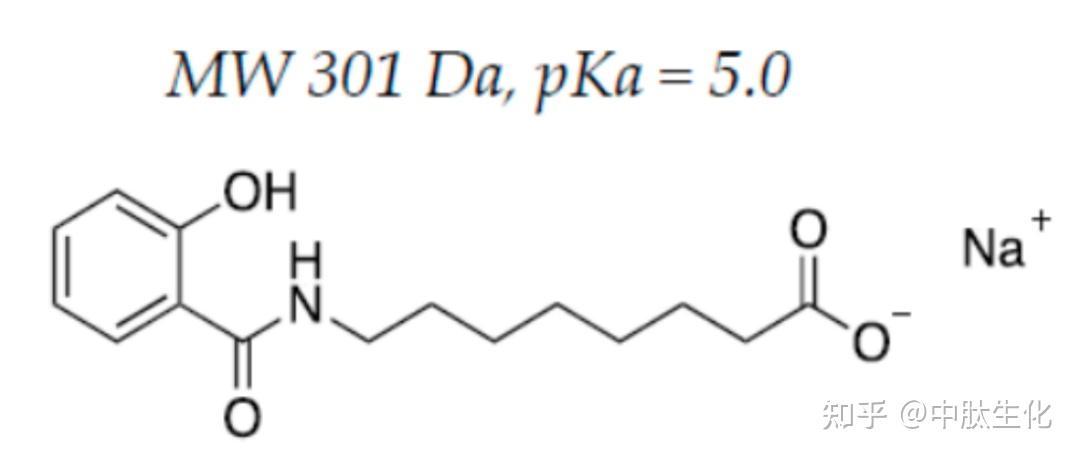 SNAC——司美格鲁肽从注射到口服的助力武器 - 知乎