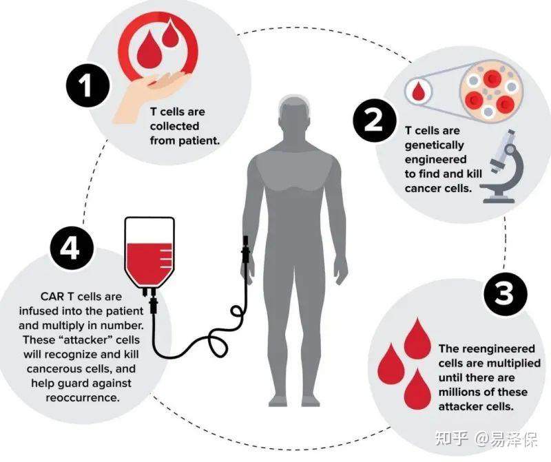 吐血整理，一文了解什么是car-t疗法 - 知乎