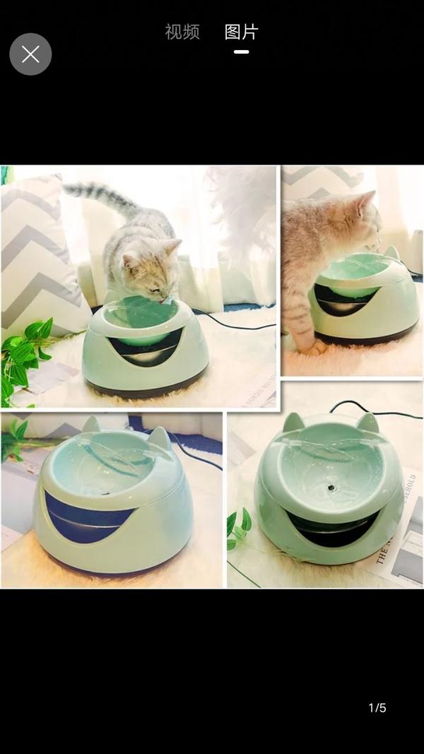 如何自制猫循环饮水器 Diy猫循环饮水器 喂水器 猫喷泉 猫饮水机 知乎