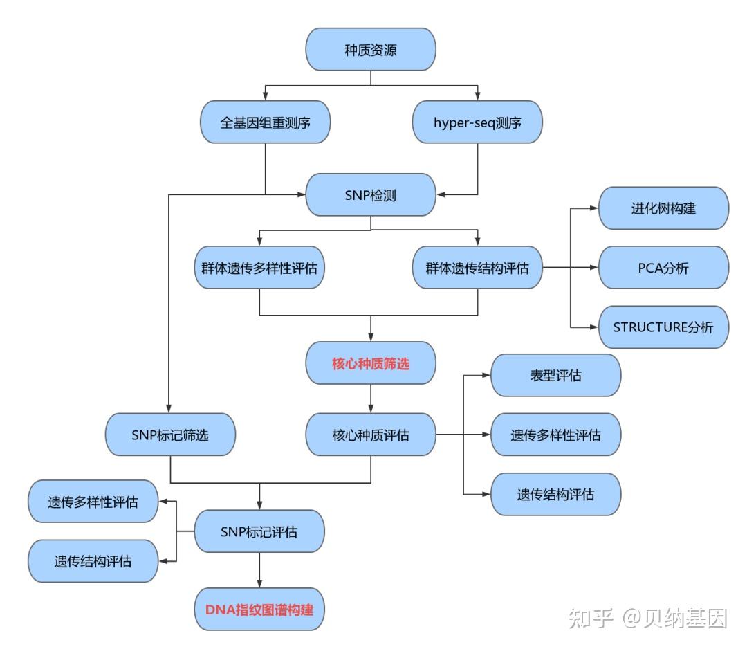 Hyper-seq测序应用——核心种质与DNA指纹图谱构建 - 知乎