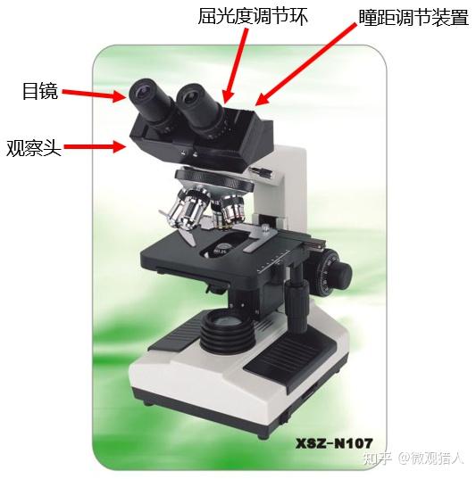 显微基础丨②认识显微镜及选购建议 - 知乎