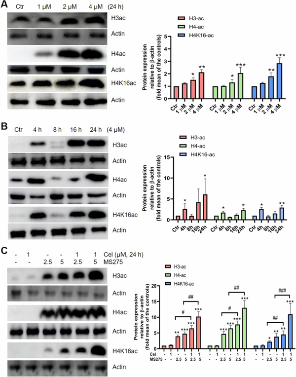 Pharmacol Res︱于海杰/马丽娟课题组发现雷公藤红素抗癌作用新机制 - 知乎