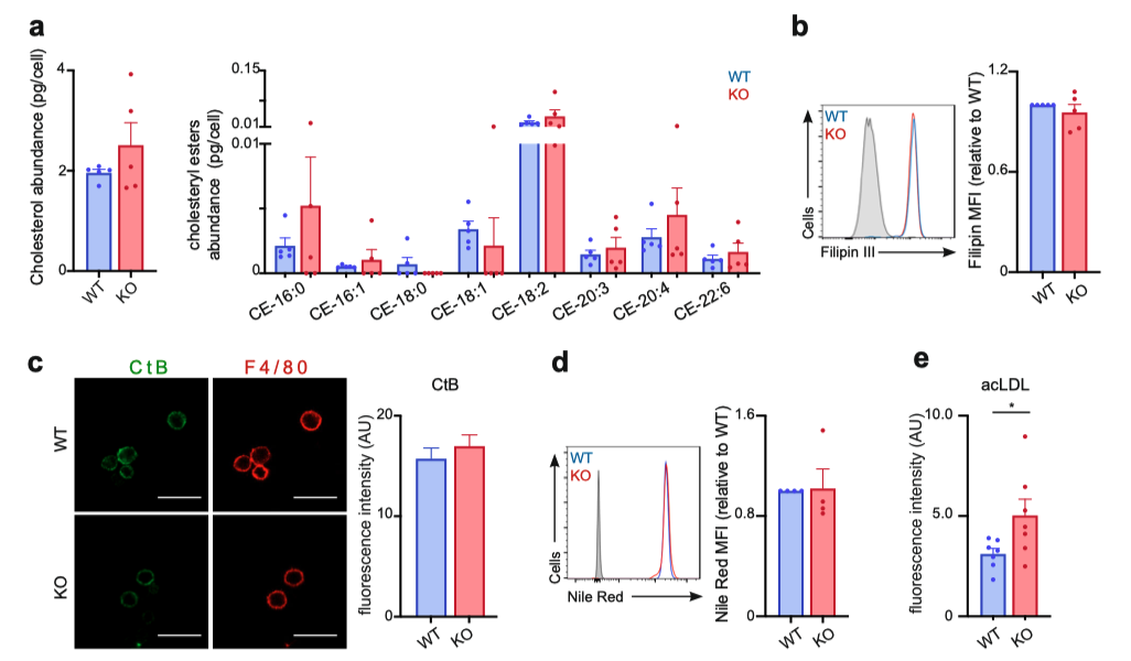 Nature子刊丨巨噬细胞脂质代谢的 CD1d 依赖性重新布线调节先天免疫反应 - 知乎