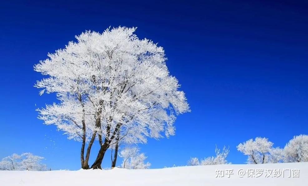 保罗汉纱门窗｜冬日的浪漫，由一扇窗开始 - 知乎