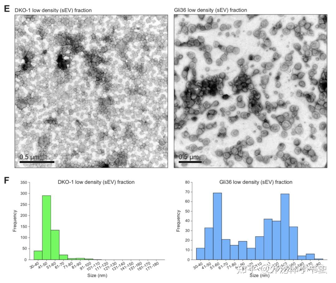 文献分享【Cell】重新评估外泌体组成 - 知乎