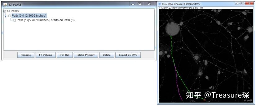 ImageJ实用技巧——Simple Neurite Tracer(插件篇) - 知乎