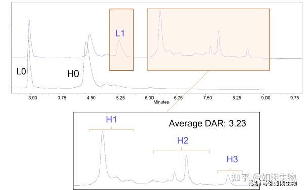 ADC药物DAR值分析的主要技术 - 知乎