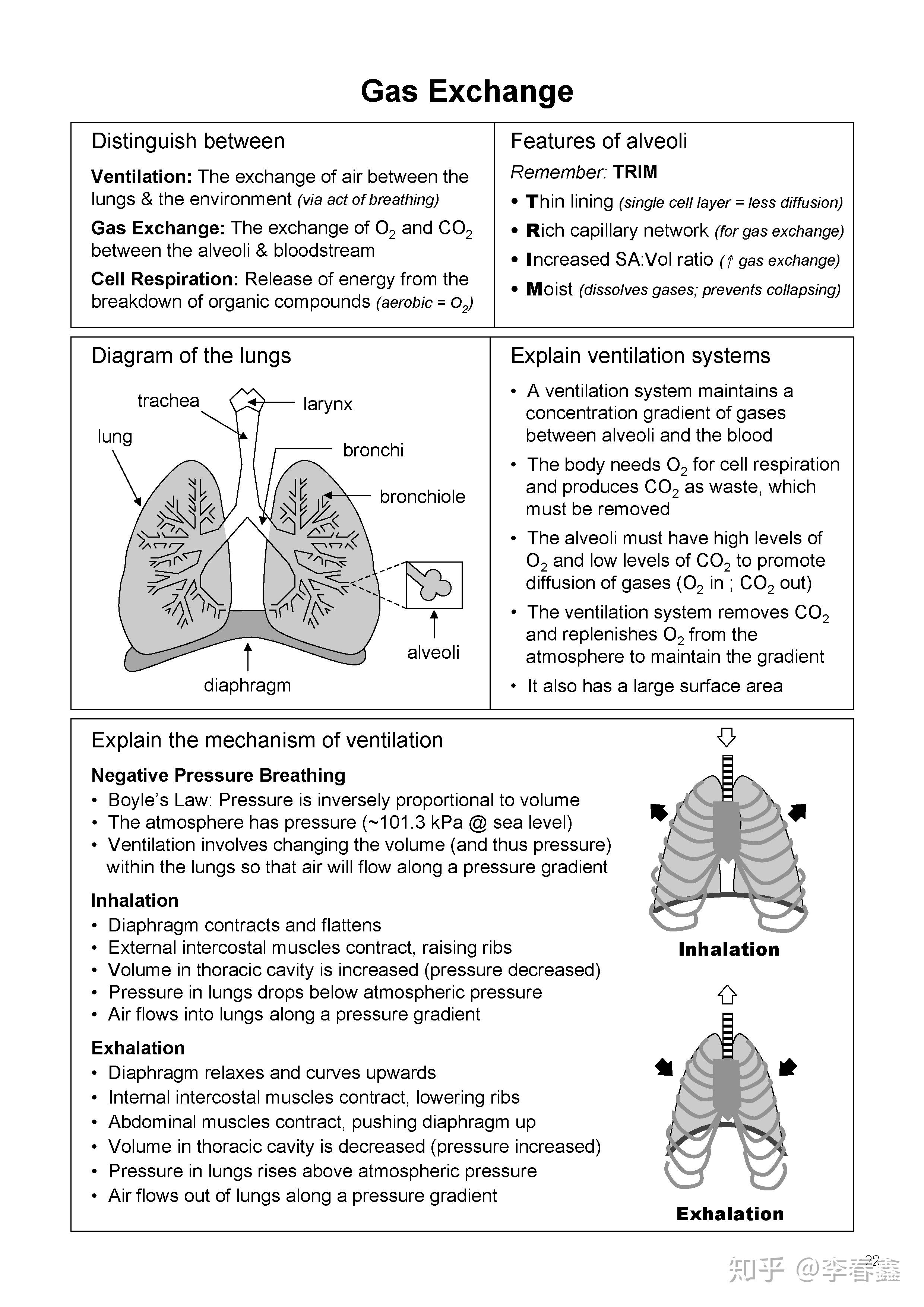 Dp Biology Quick Note For Revision Dp生物快速复习手册 知乎