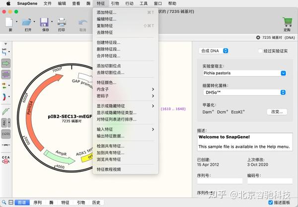 如何切换SnapGene的语言界面？ - 知乎