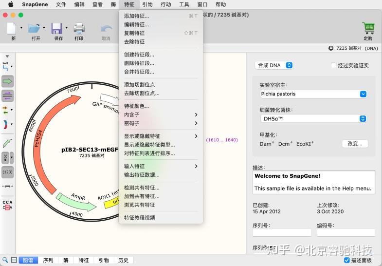 如何切换SnapGene的语言界面？ - 知乎
