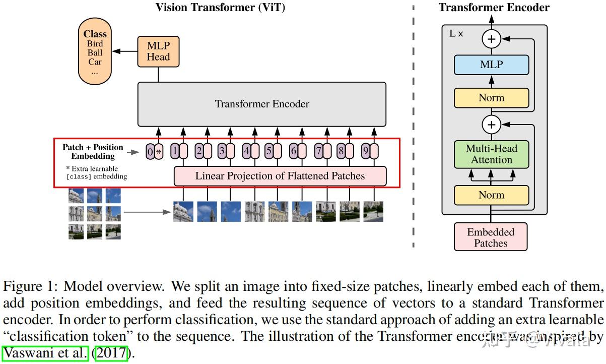 Conformer: Local Features Coupling Global Representations for Visual Recognition（局部特征+全局表示）-阅读笔记 ...