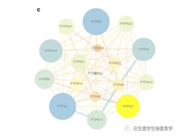 手把手教你使用Cytoscape - 知乎