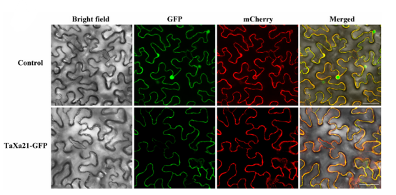 PS快速处理merge图片详细教程！！ - 知乎