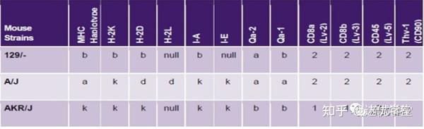 【流式学习】小鼠同种异型抗原-- MHC介绍 - 知乎