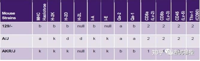 【流式学习】小鼠同种异型抗原-- MHC介绍 - 知乎