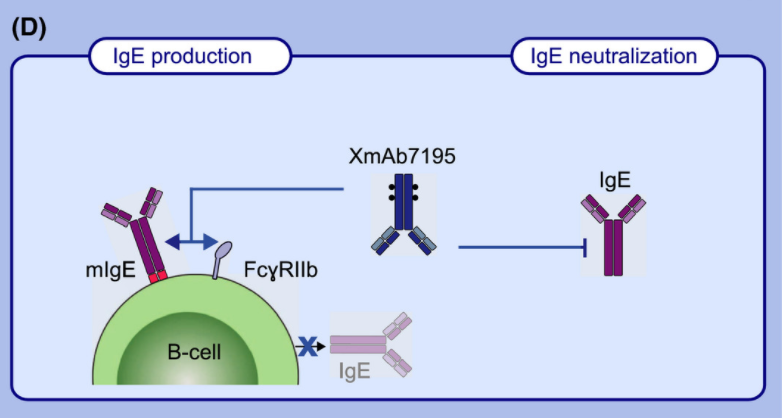 结束20余年备胎生涯---诺华奥马珠单抗重磅接班人Ligelizumab现身台前 - 知乎