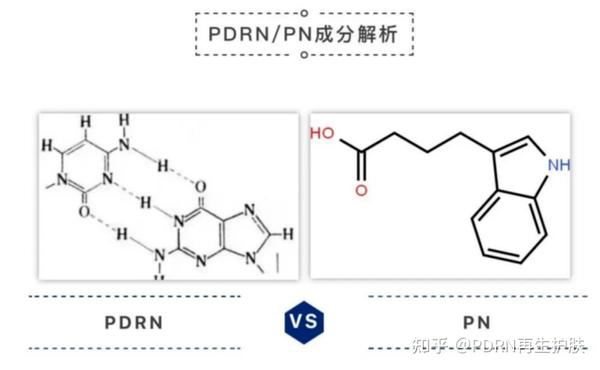 三文鱼PN是什么？和PDRN有什么关系？ - 知乎