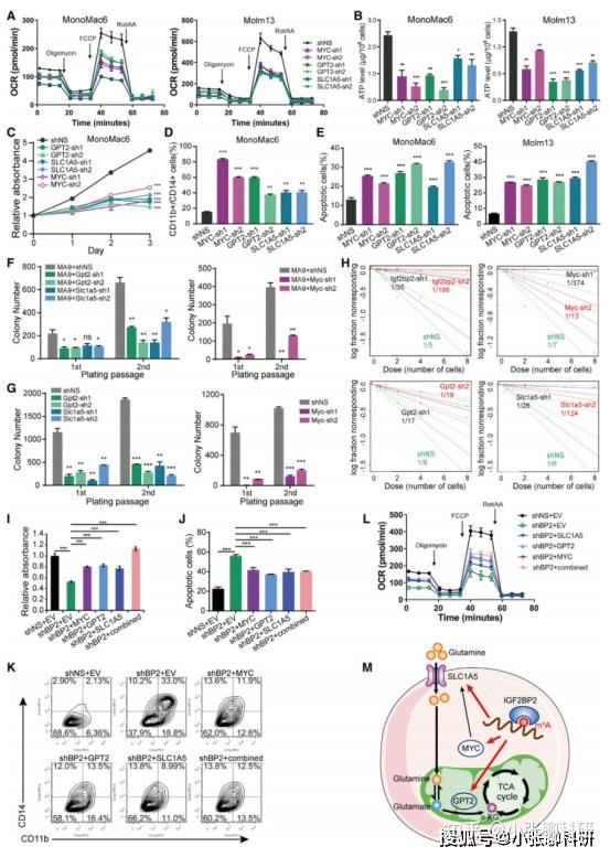 【文献详解】肿瘤治疗新思路：靶向m6A机制 - 知乎